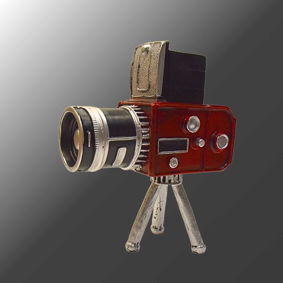 Camera Decor – elegantflowers