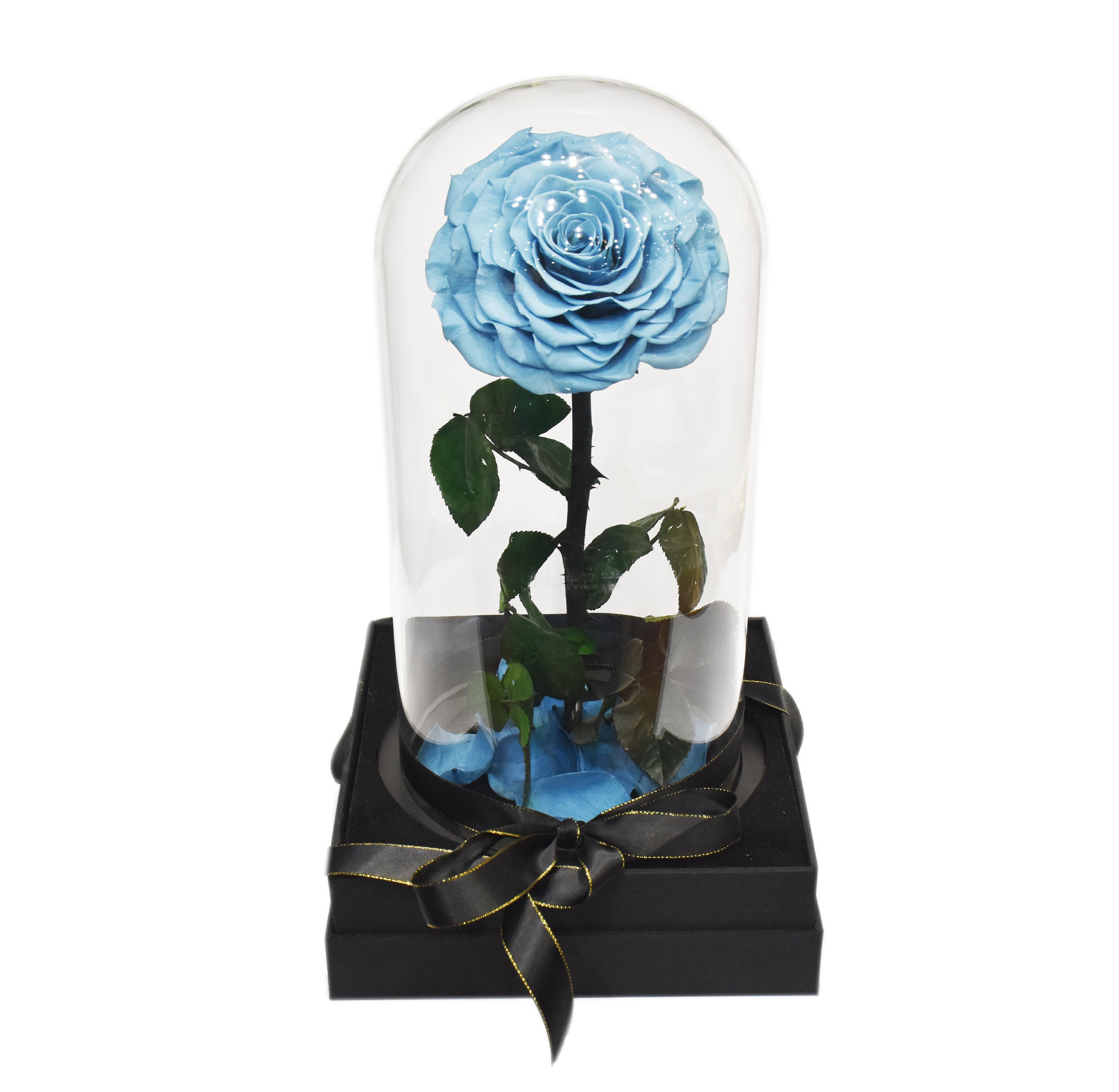 Online Flowers Delivery in Dubai I ELEGANT FLOWERS I Light Blue Forever ...