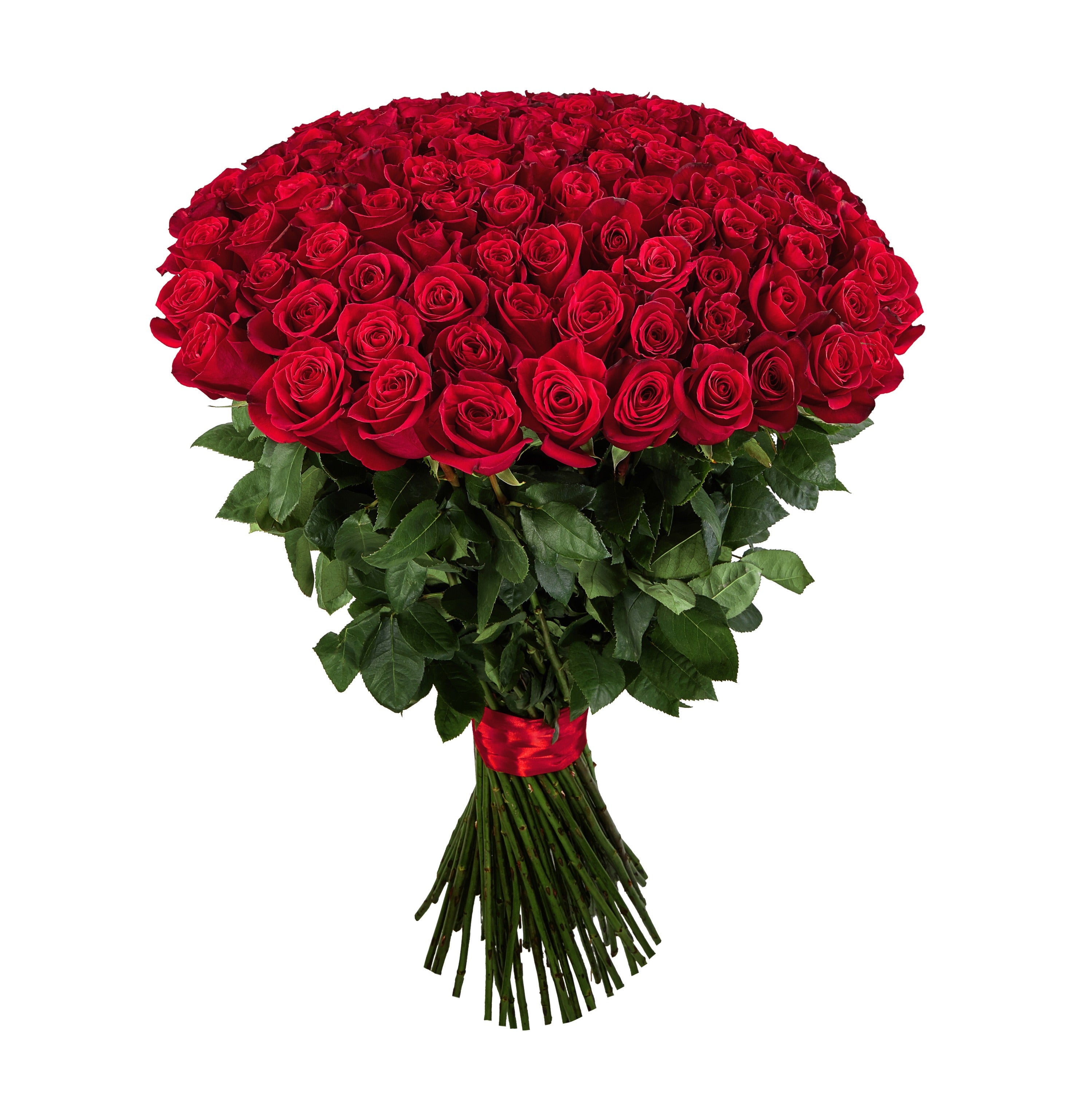 Grand Special Red Roses| Elegant Flowers | Online Flower Delivery ...
